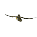 Carrion Hunter - NPC - 魔兽世界怀旧服WLK3.35数据库_巫妖王之怒80级魔兽数据库_wlk数据库