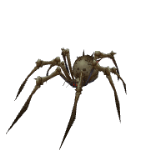 Terror Spinner - NPC - 魔兽世界怀旧服WLK3.35数据库_巫妖王之怒80级魔兽数据库_wlk数据库